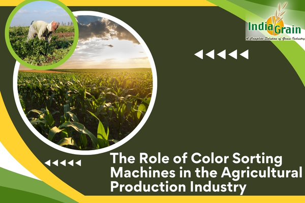 The Role of Color Sorting Machines in the Agricultural Production Industry